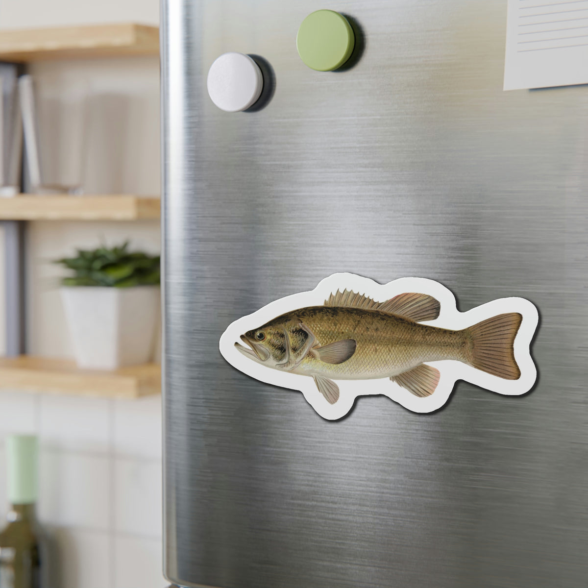 Largemouth Bass - Magnet – Vintage Fish