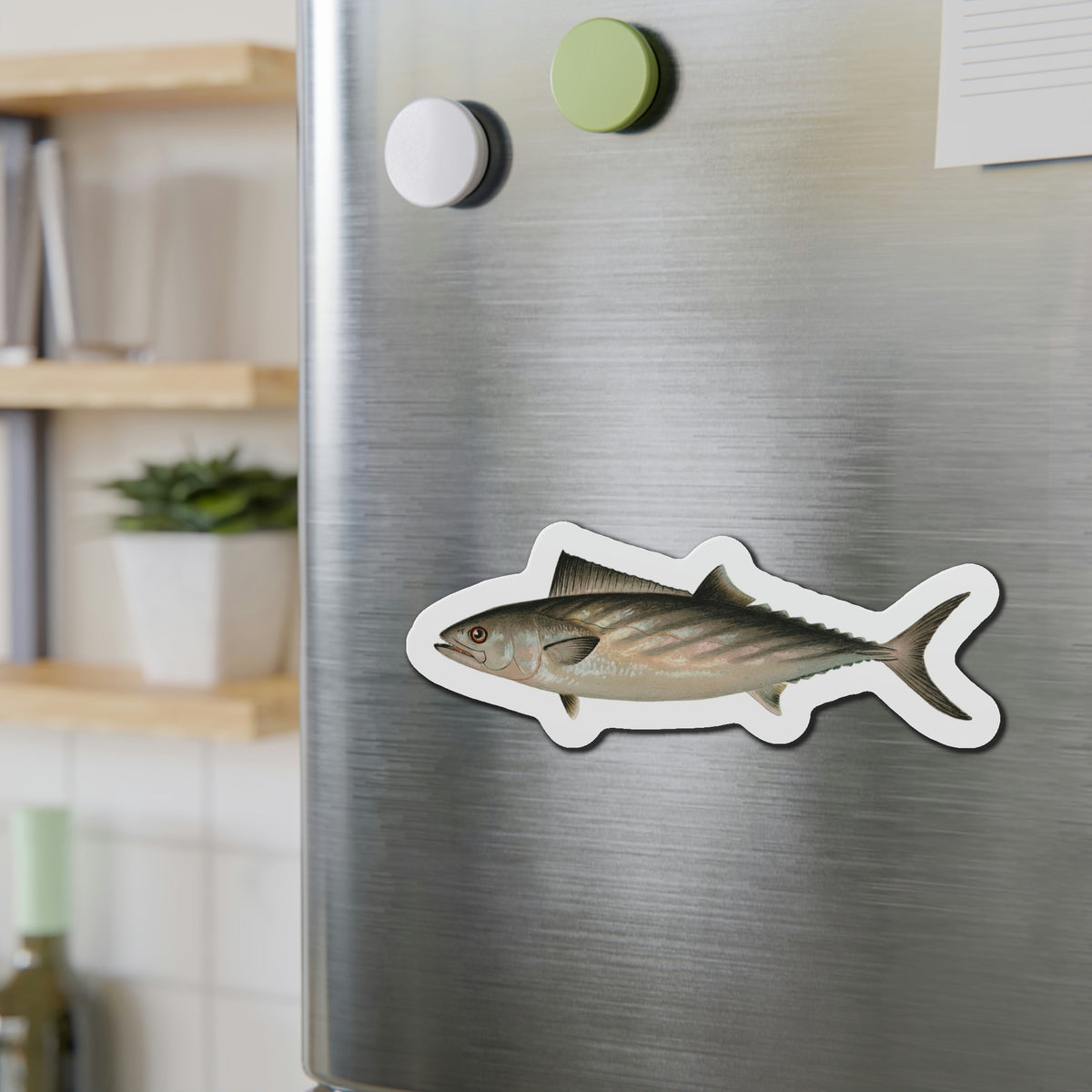 Atlantic Bonito - Magnet – Vintage Fish